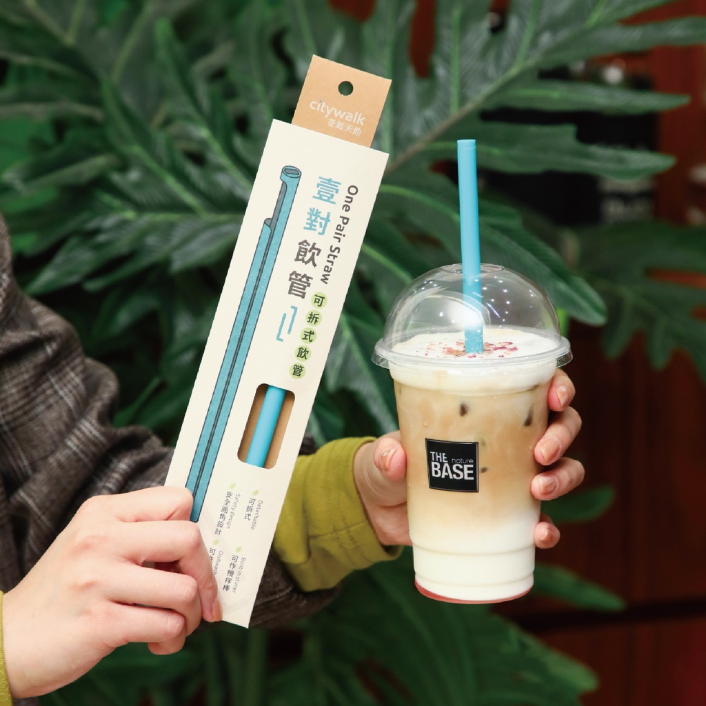 Green One-One Pair Straw | GiftMall